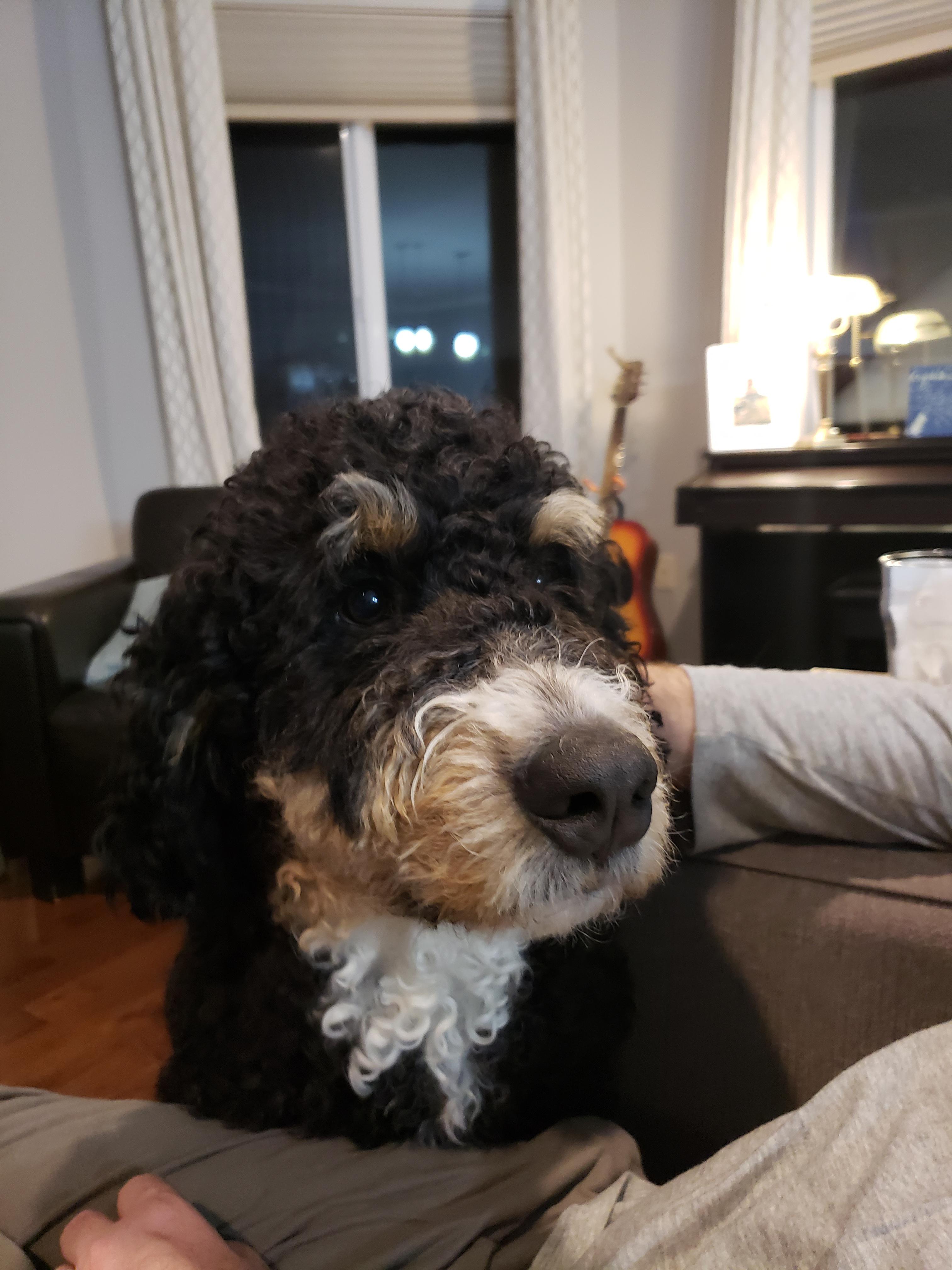 Eyebrows | Scrolller