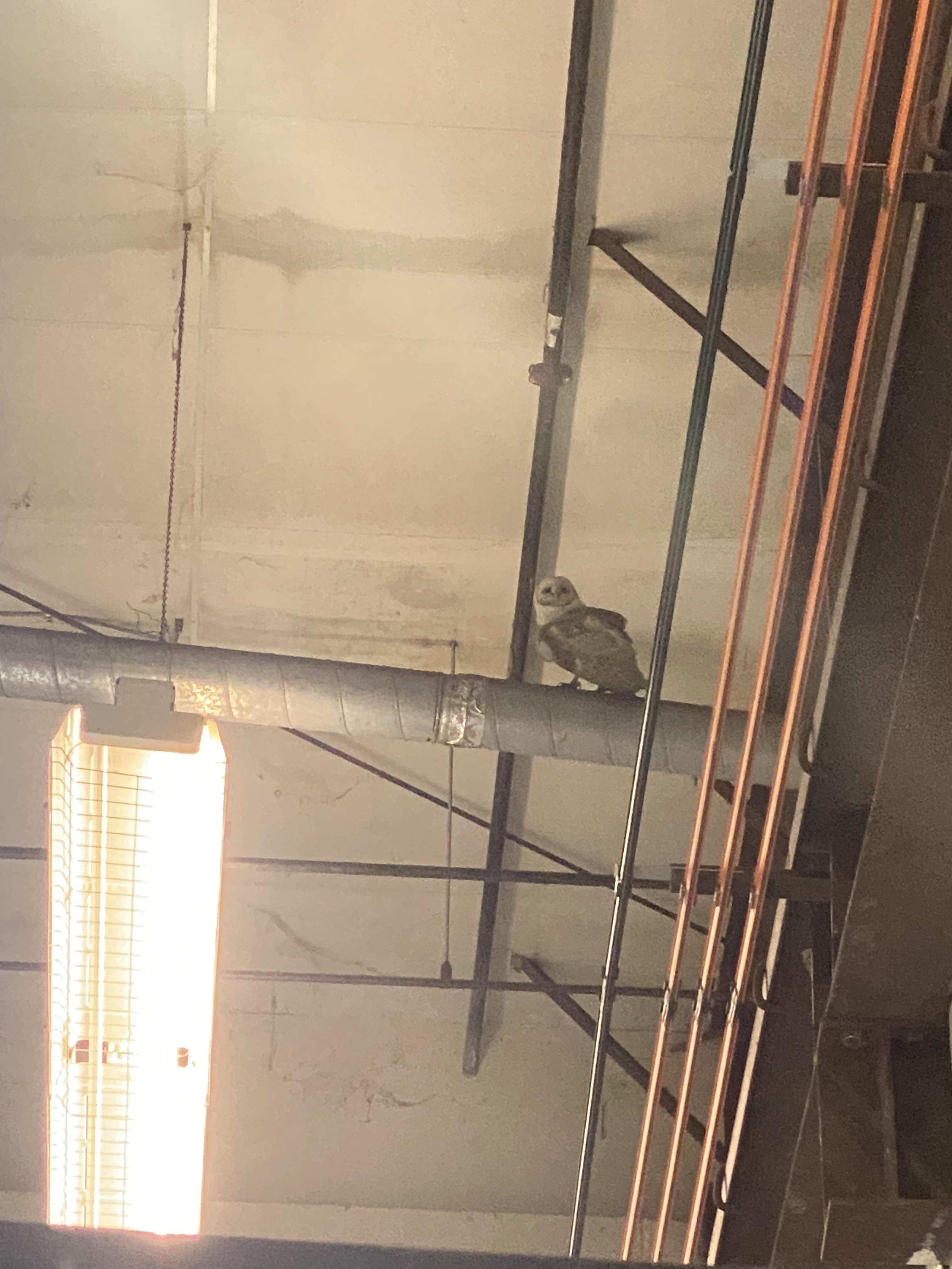 Can someone identify? | Scrolller