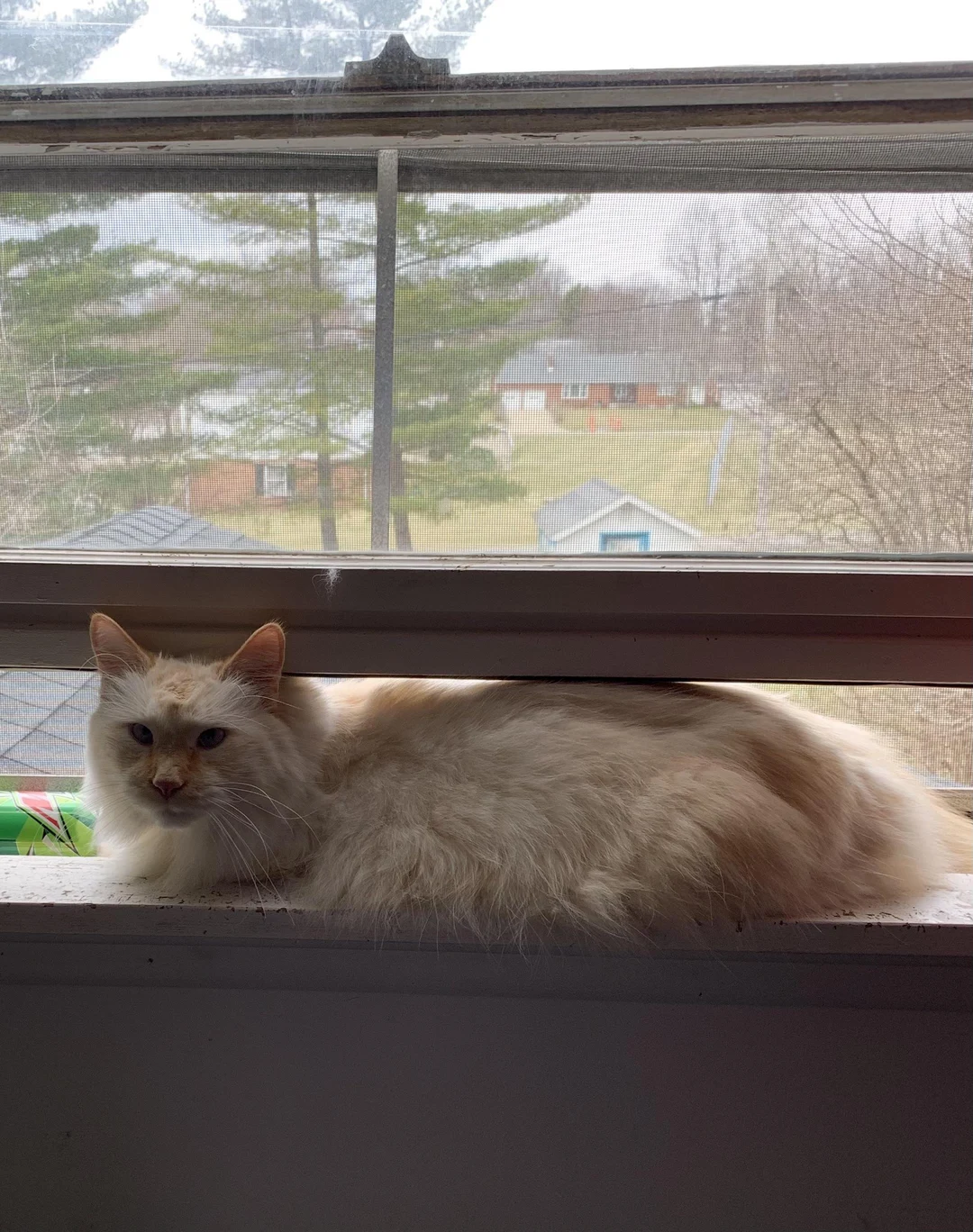 Took him a minute to get in there | Scrolller