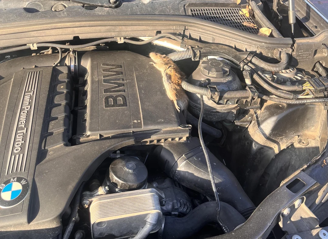 Son called, said engine was smoking bad. Told him pull over leave engine on and take pic. This ...