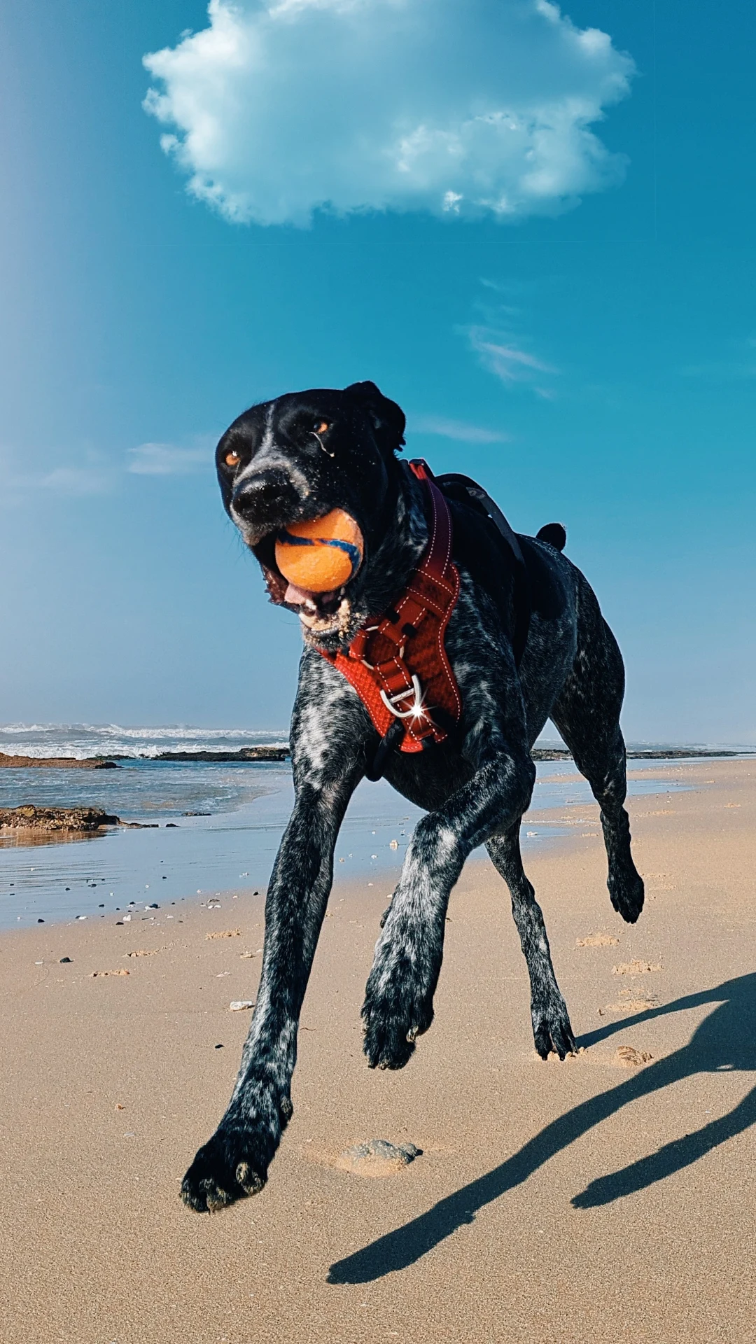 Our plans for the day 🏀 | Scrolller