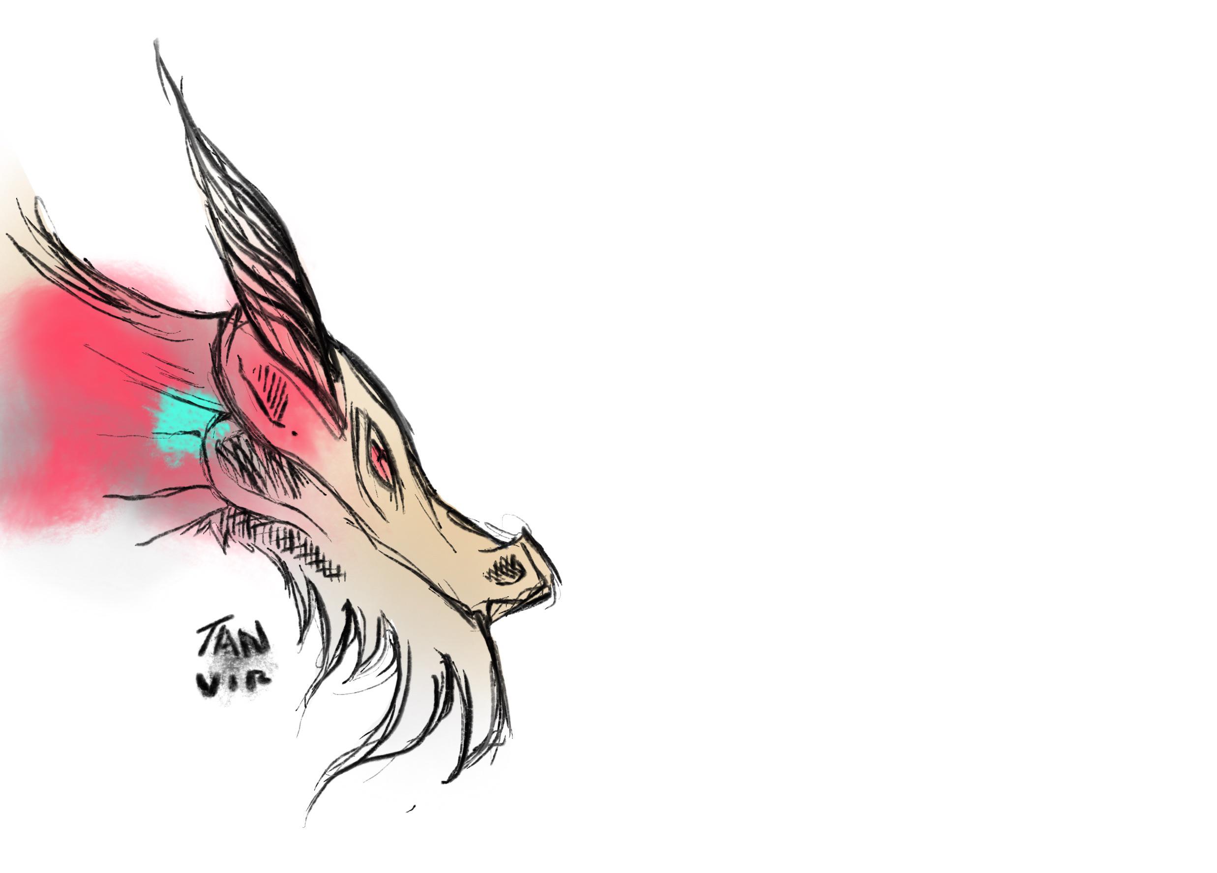 Bearded Dragon drawn by me | Scrolller