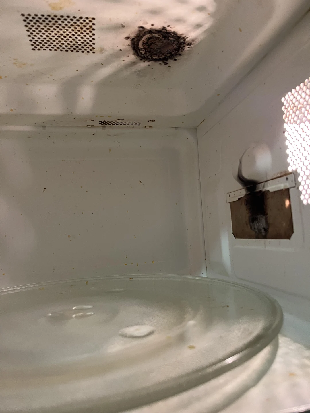 Is My Microwave Due for a Replacement? | Scrolller