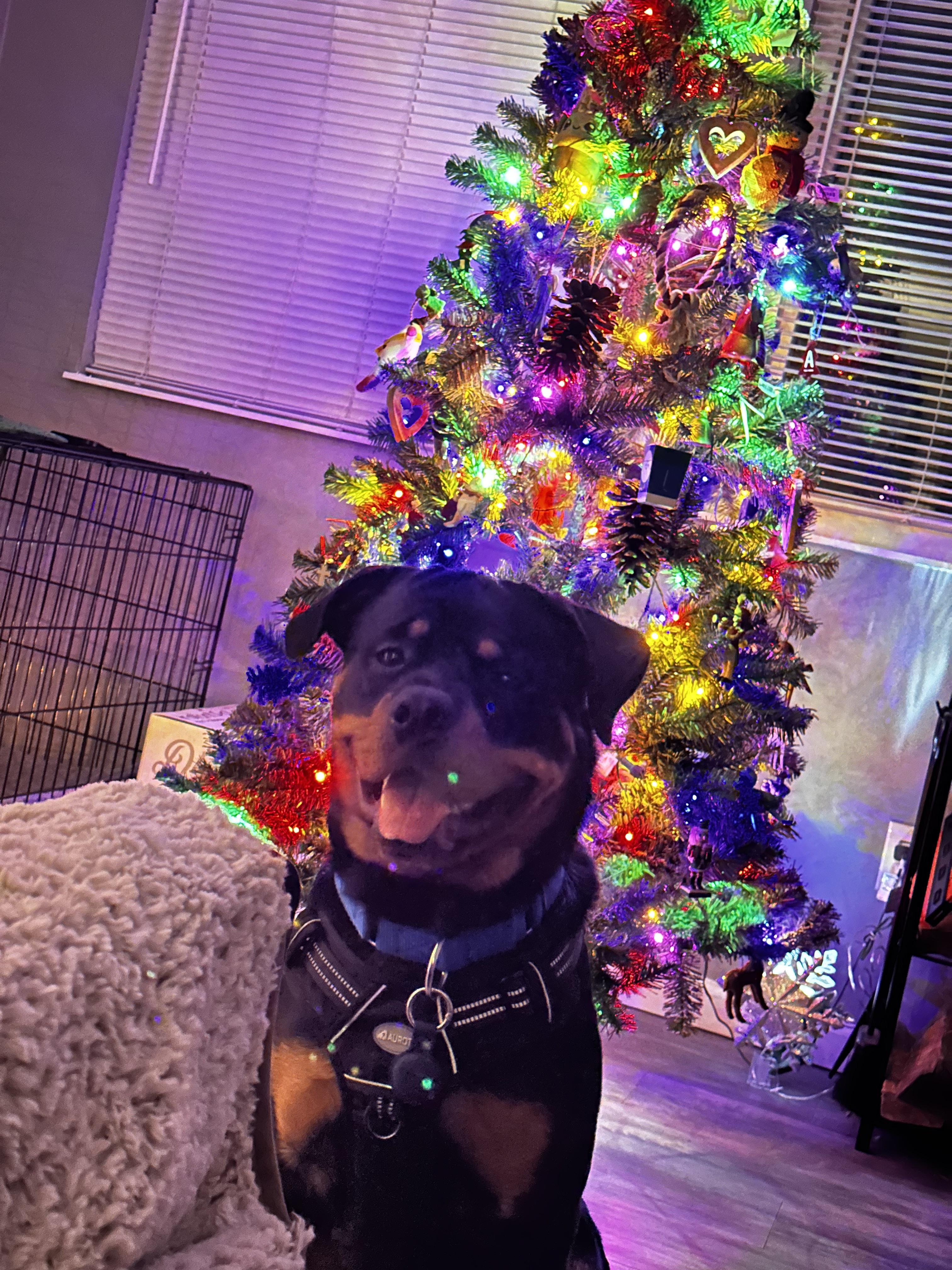 Just because | Scrolller