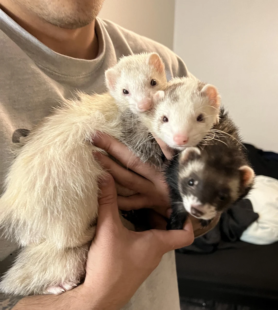 Greetings! | Scrolller