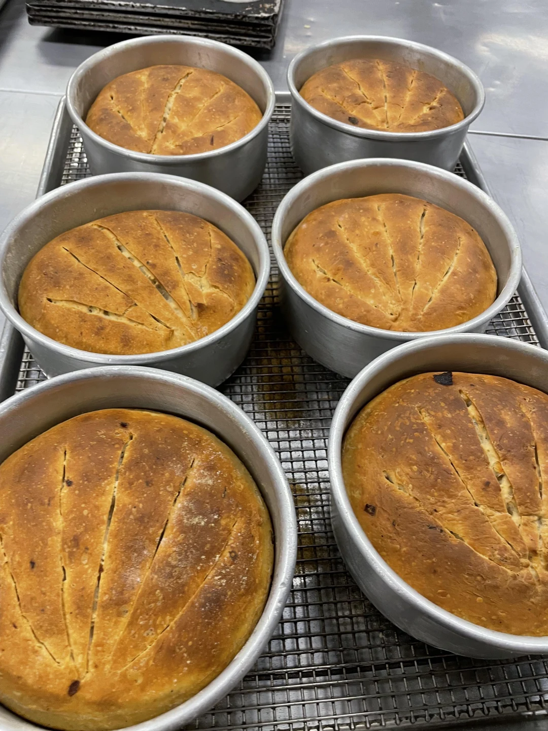 Onion Cheese Bread | Scrolller