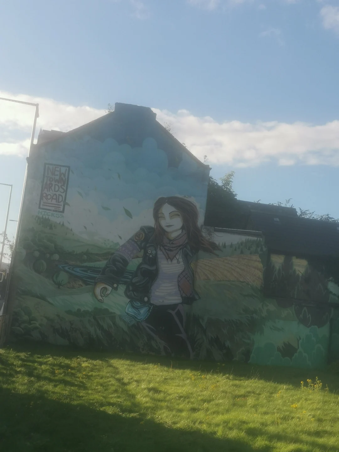 Country Scene Newtownards Road East Belfast | Scrolller