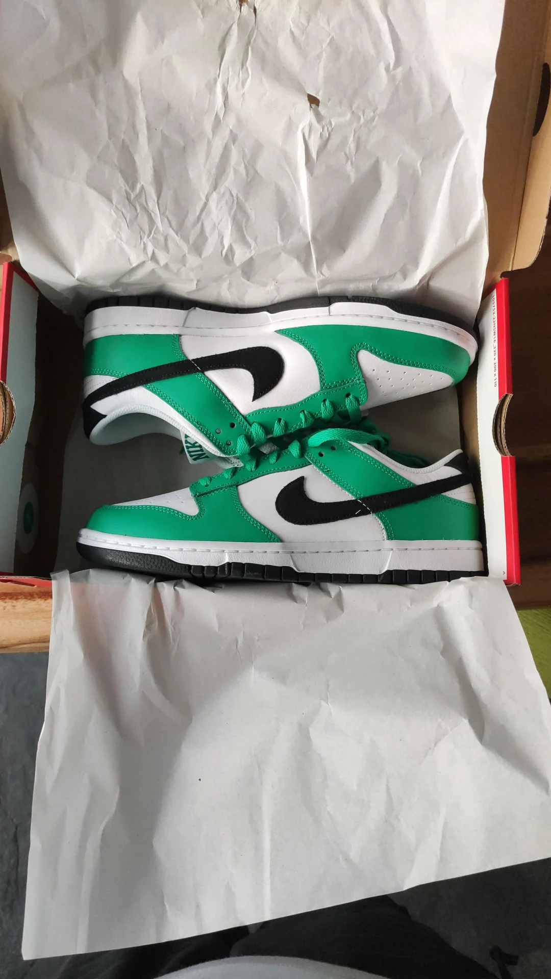 Dunks arrived today! | Scrolller