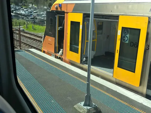 Now they're driving the trains! | Scrolller