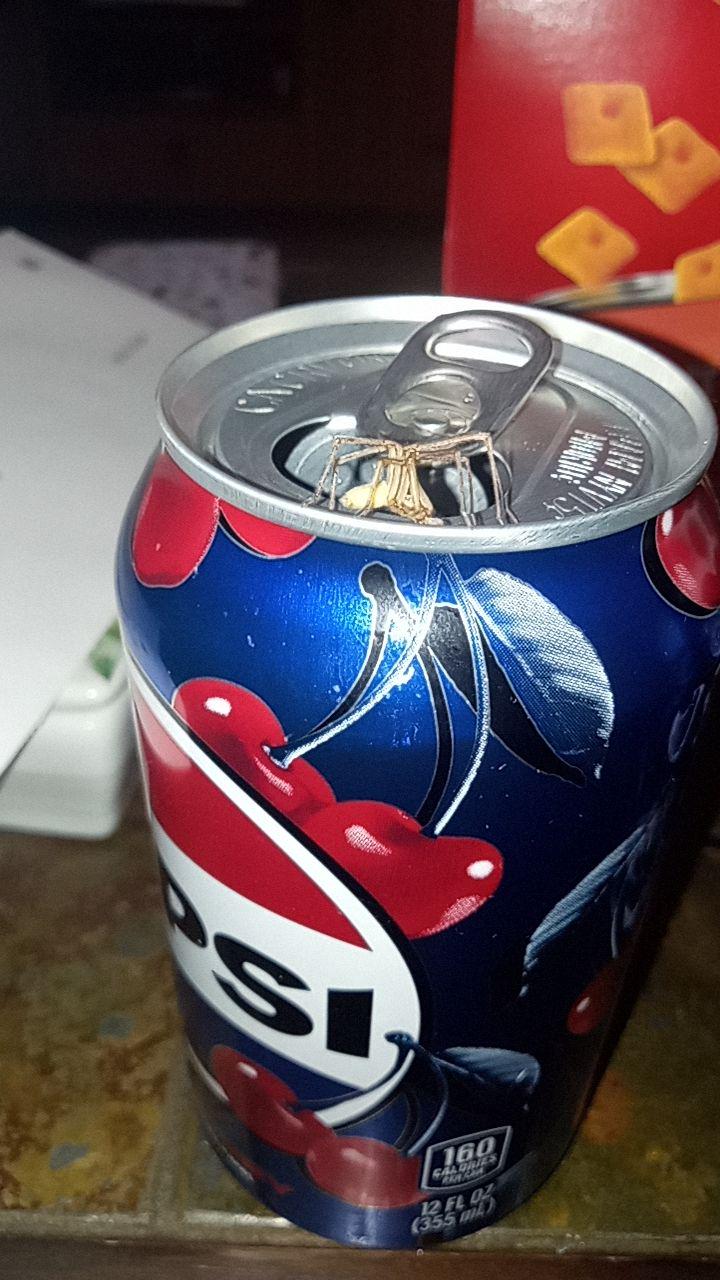 Thank God I looked before taking a sip 😭😭😭😭 | Scrolller