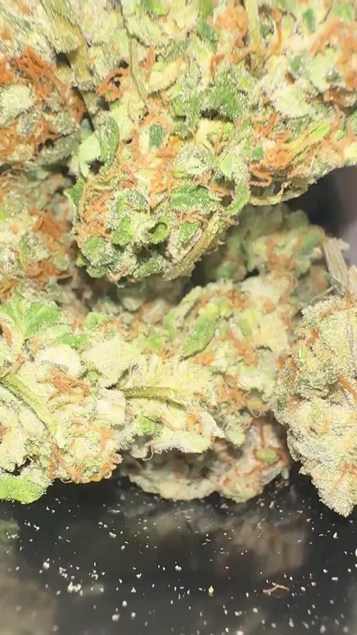 New pickup | Scrolller