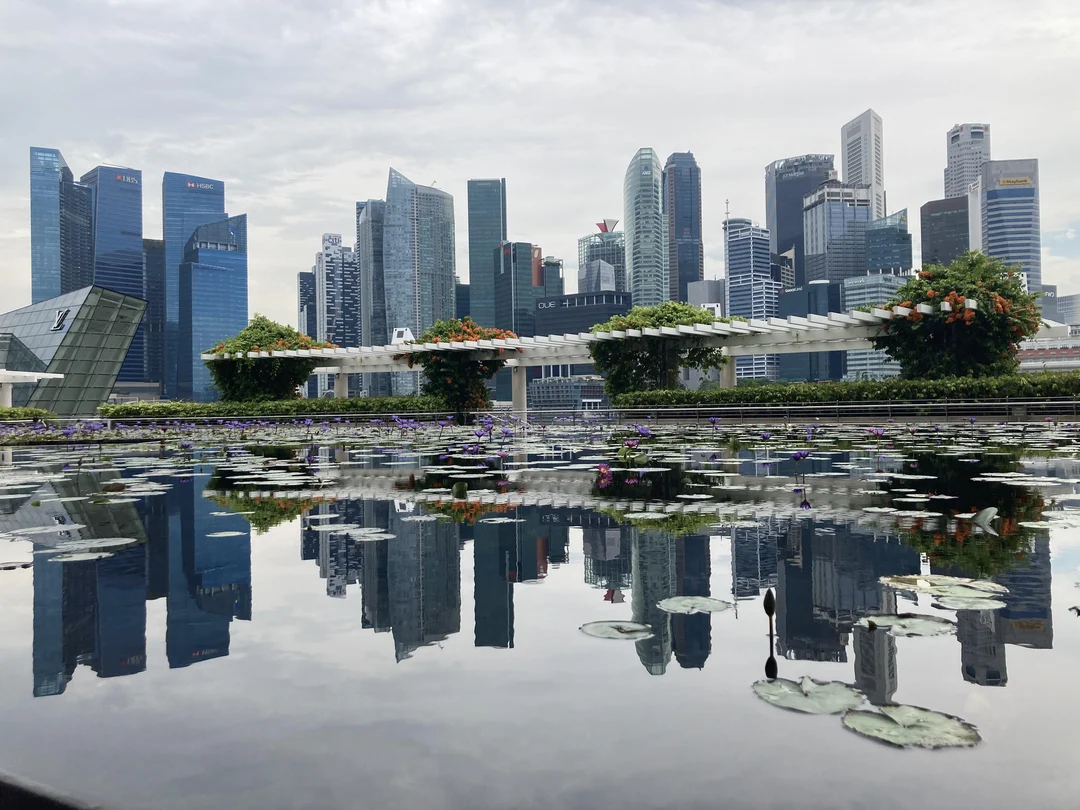 Singapore | Scrolller