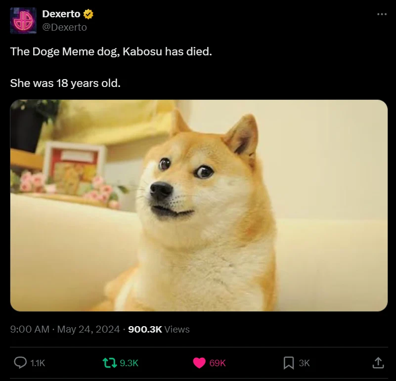 Doge has died, may she rest in piece... | Scrolller