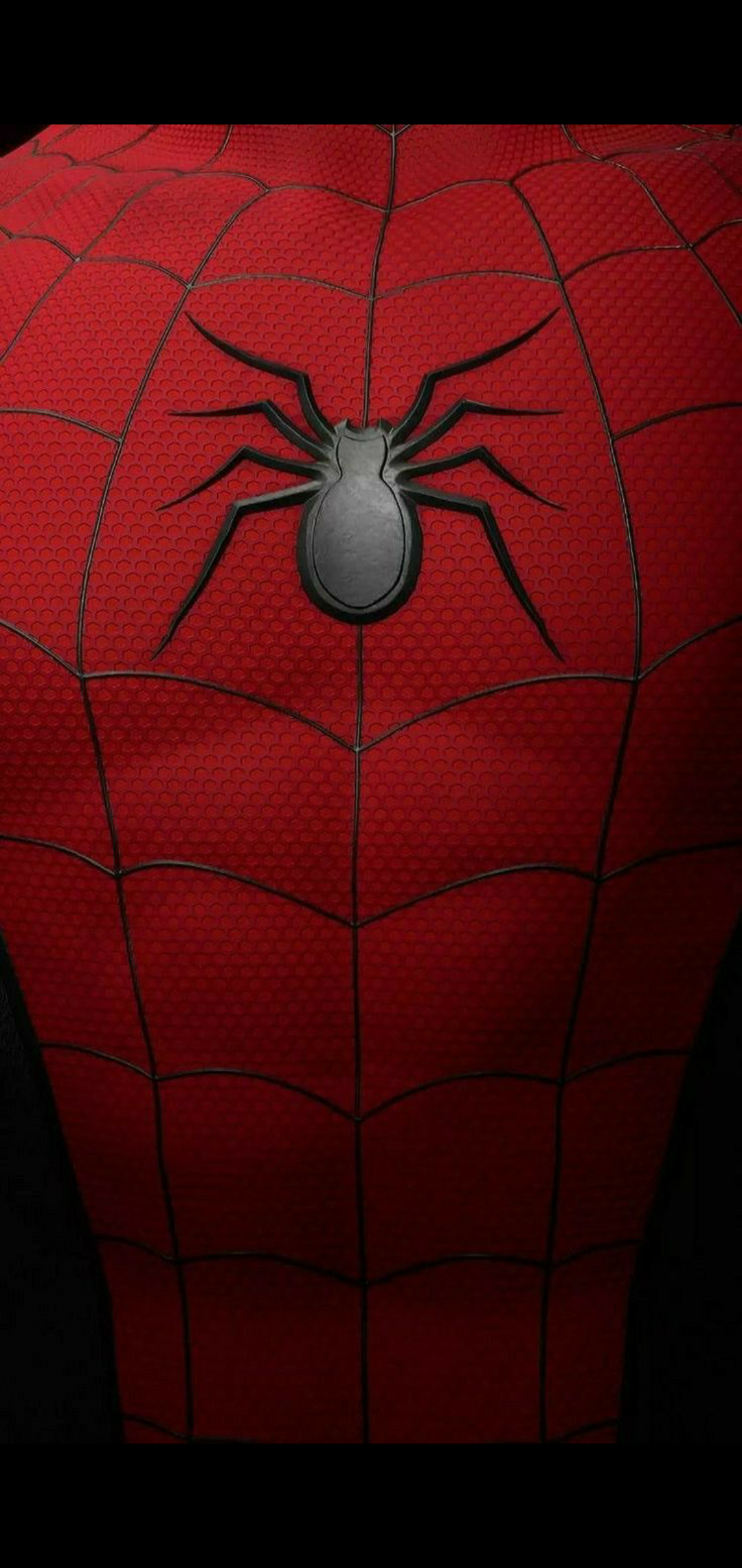 SPIDEY SUIT!!! 🕷️ | Scrolller