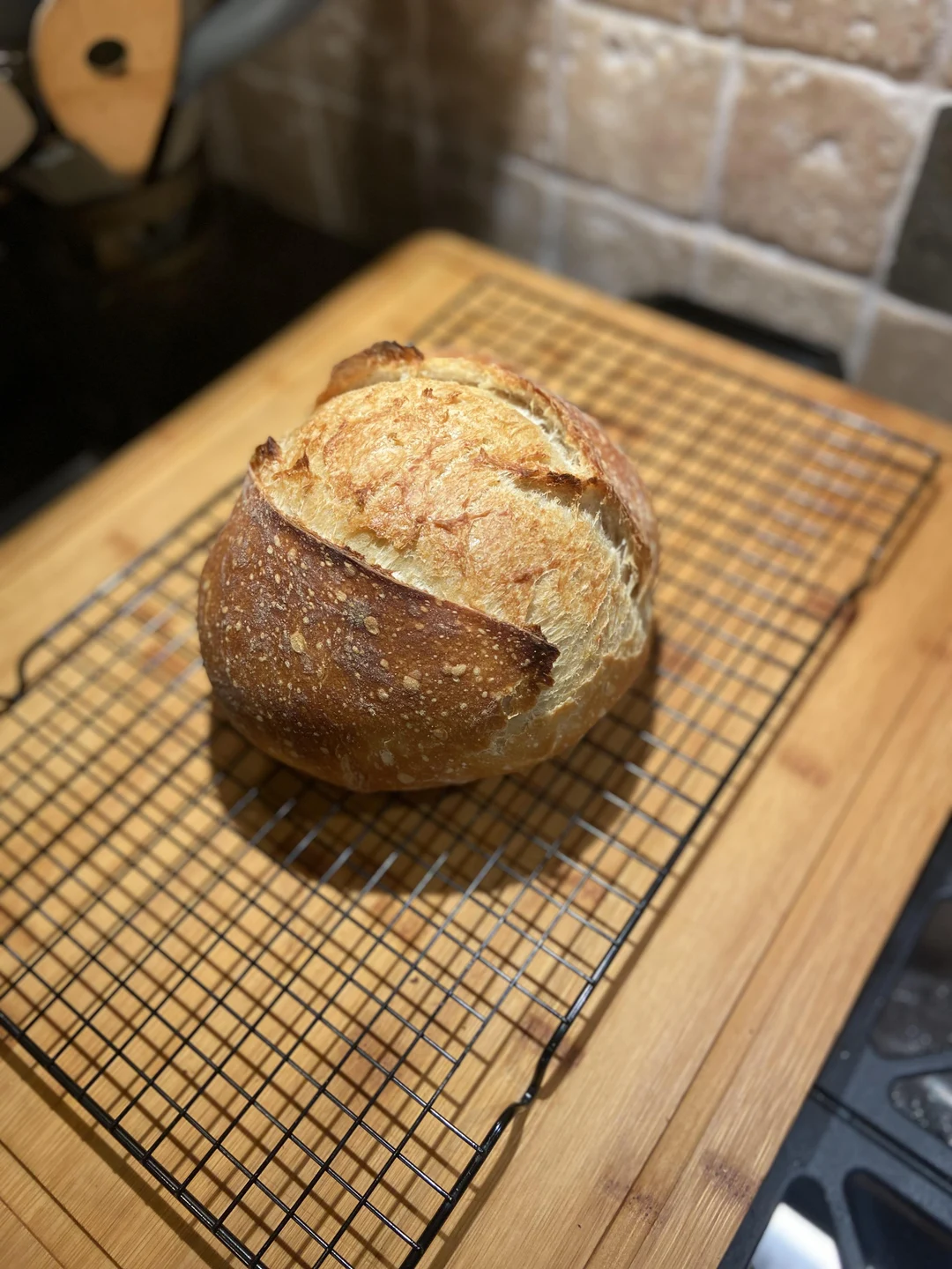 First of many! Martyr the Starter is currently in the fridge for next week… | Scrolller