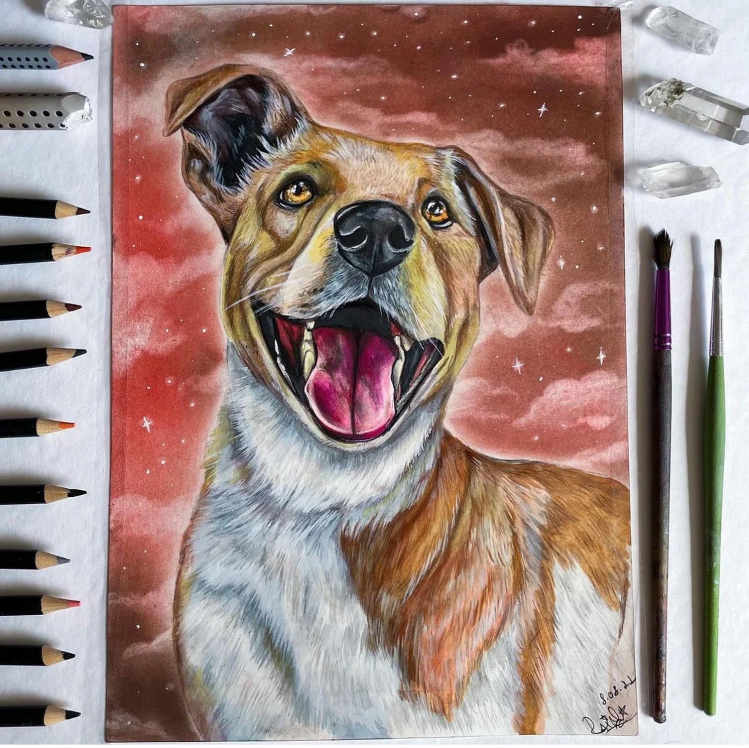 Show me your dogs. I’m searching for new sketch references | Scrolller