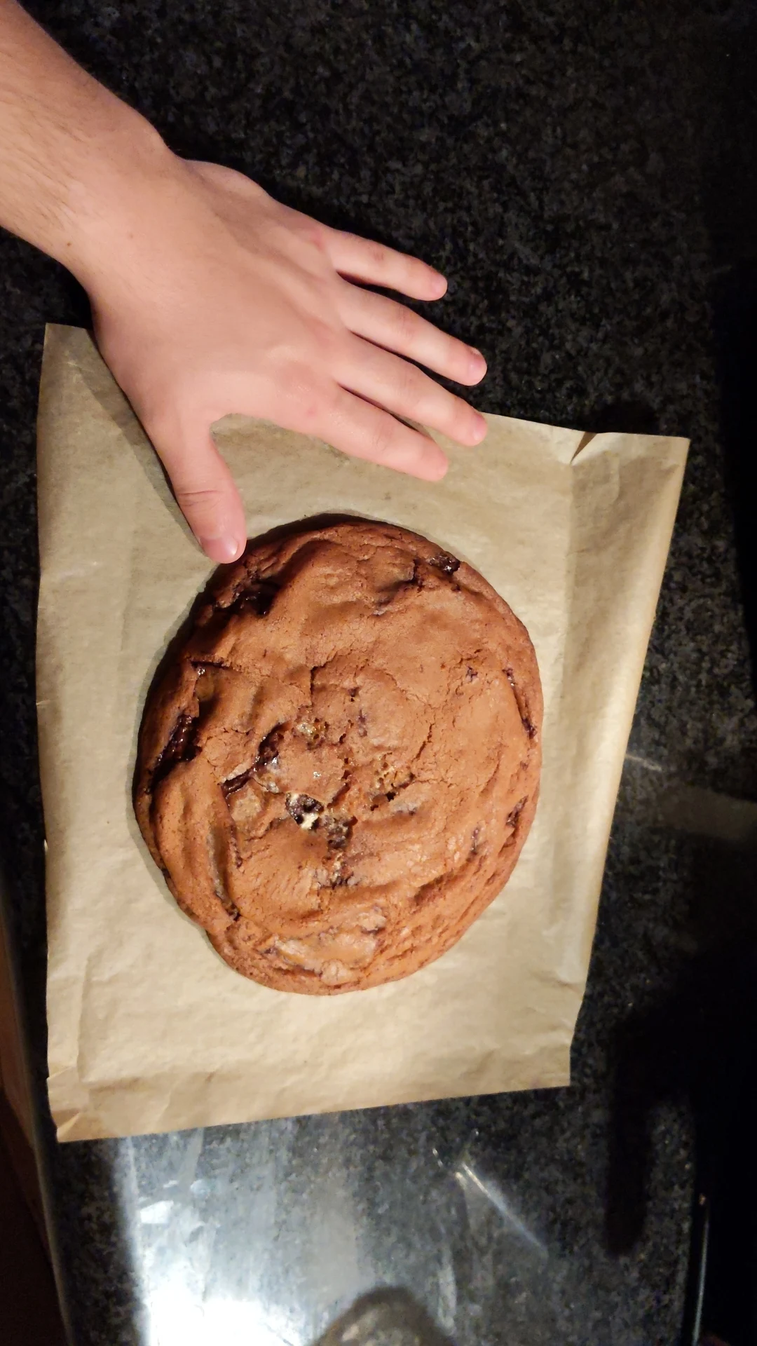 [homemade] I made a rough chop chocolate chip cookie with marshmallows ...