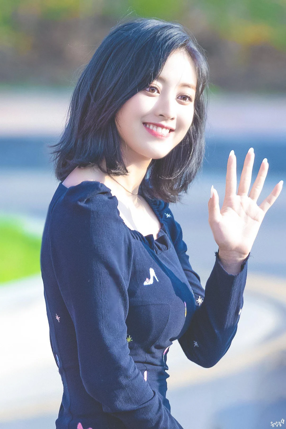 Jihyo | Scrolller