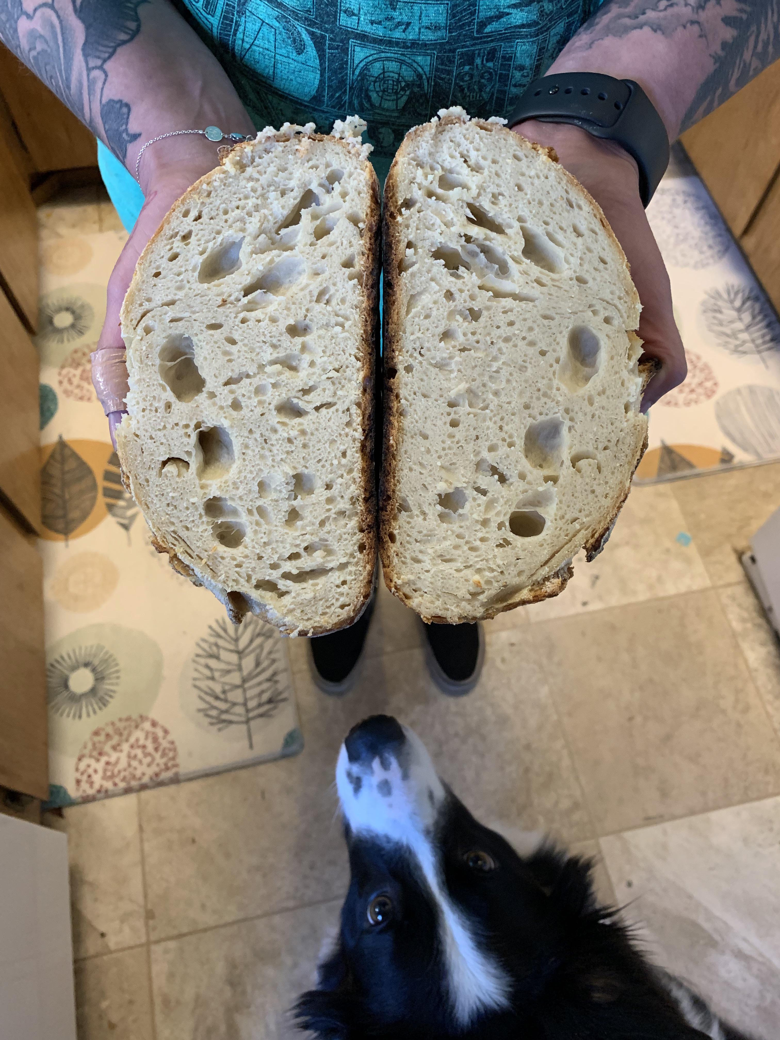 First bake with a new starter! | Scrolller