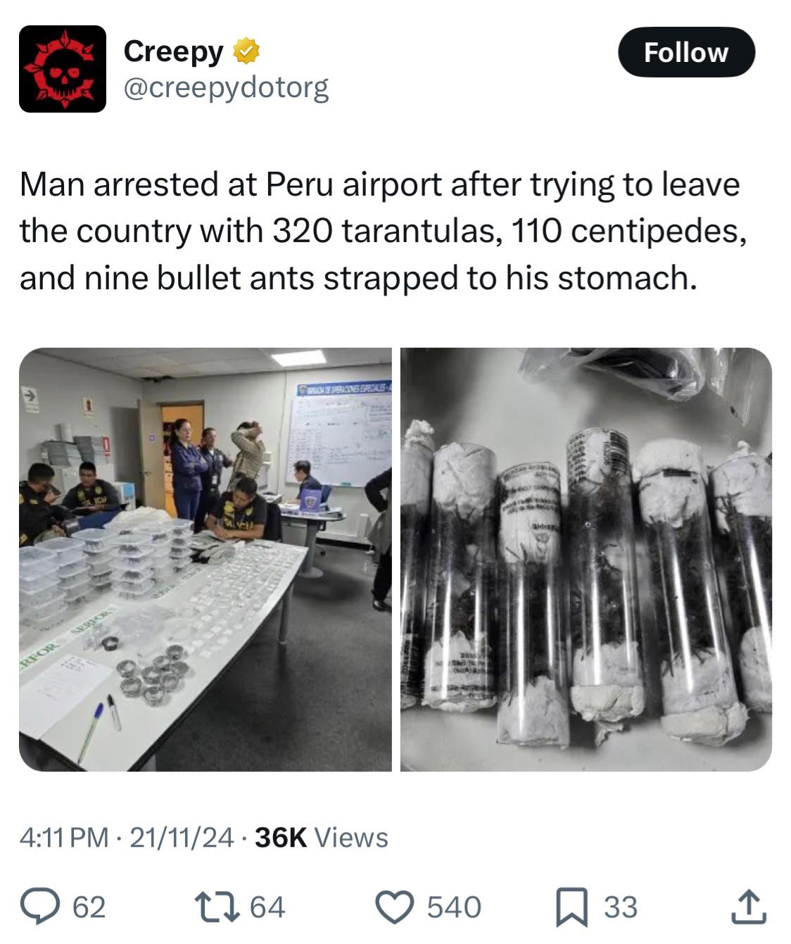 Discover more like Madlads: Bug bounty chaser and Related Content ...