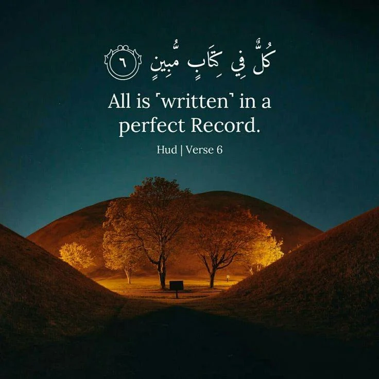 Quran reminder | Scrolller