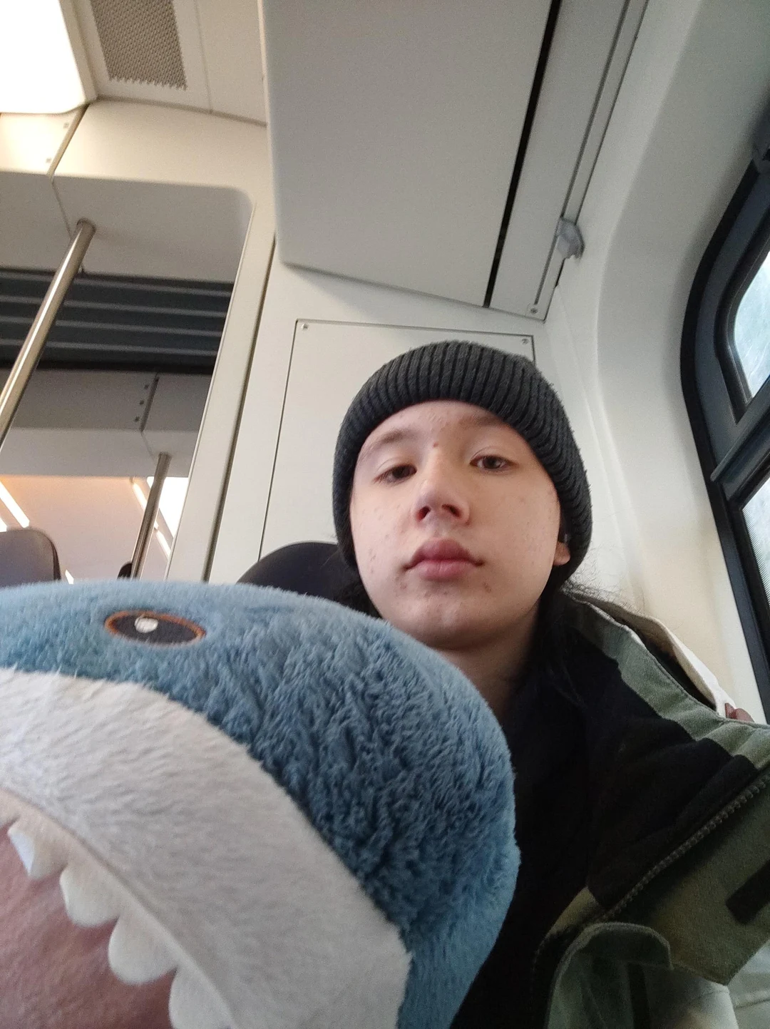 Traveling with Blahaj | Scrolller