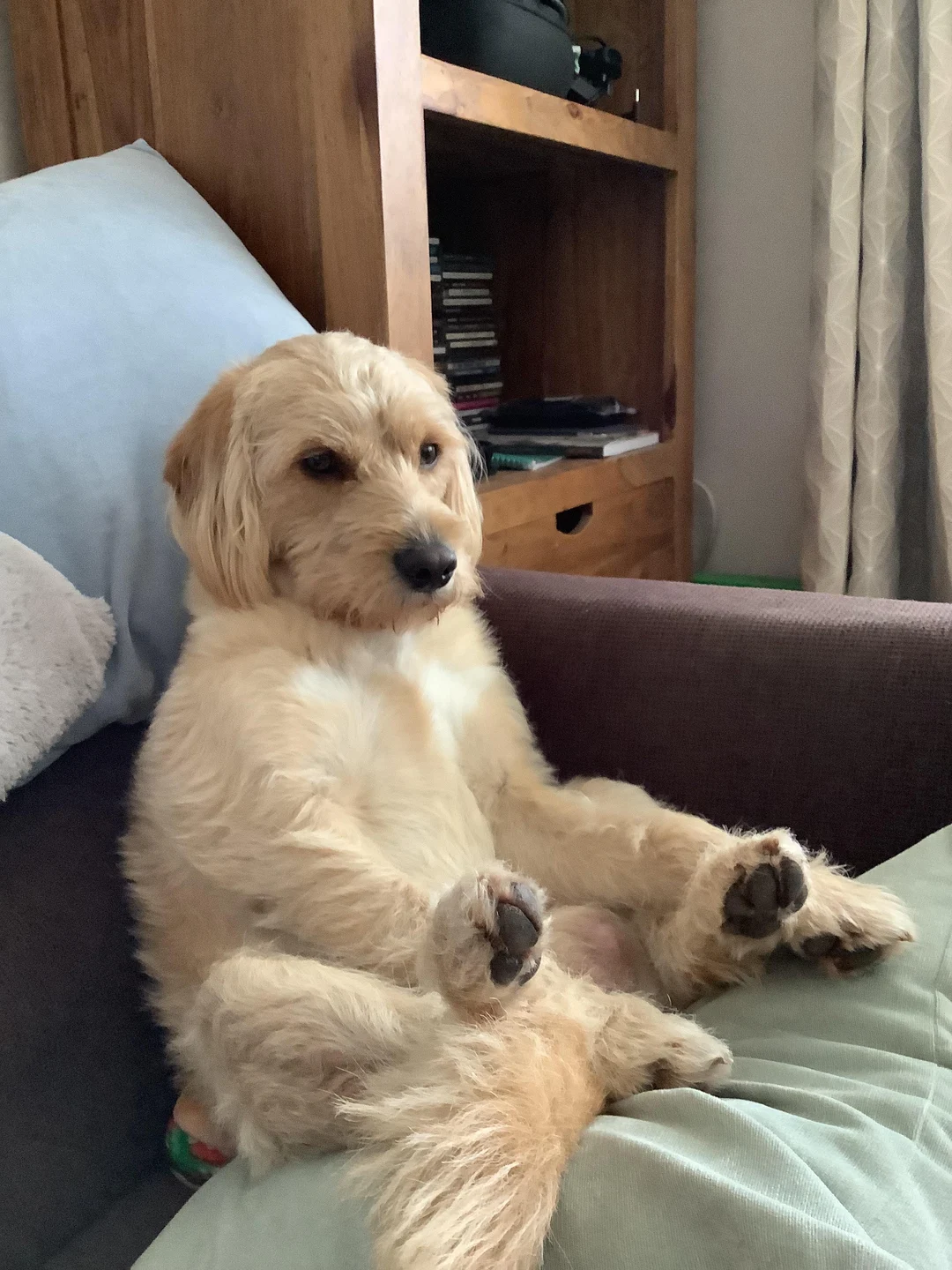 There evolving | Scrolller