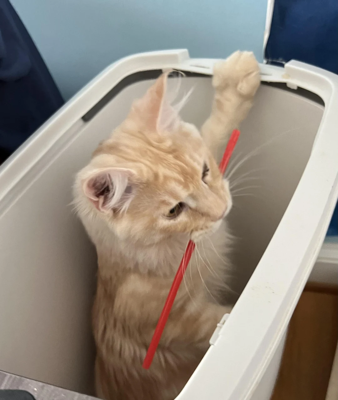 That's the last straw! | Scrolller