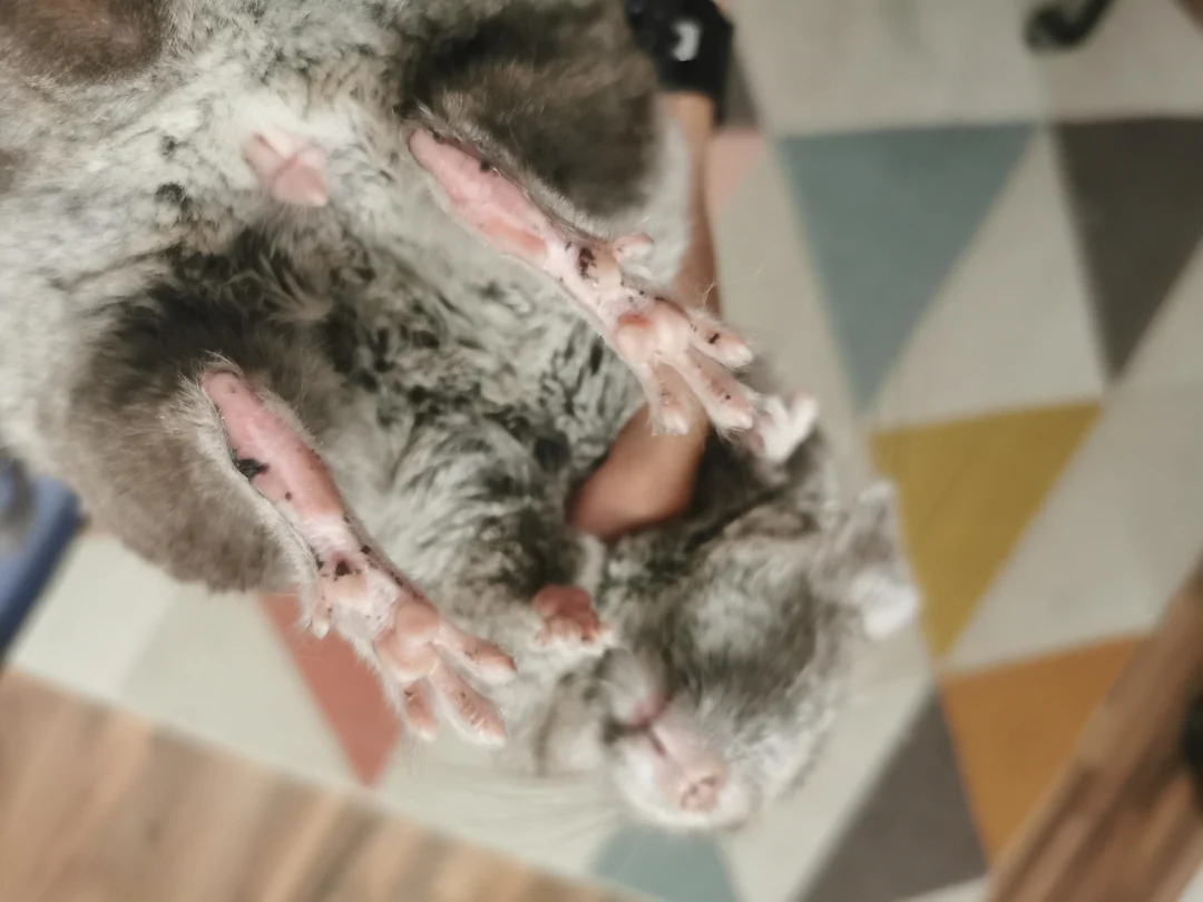 Weird black spots on feet? | Scrolller