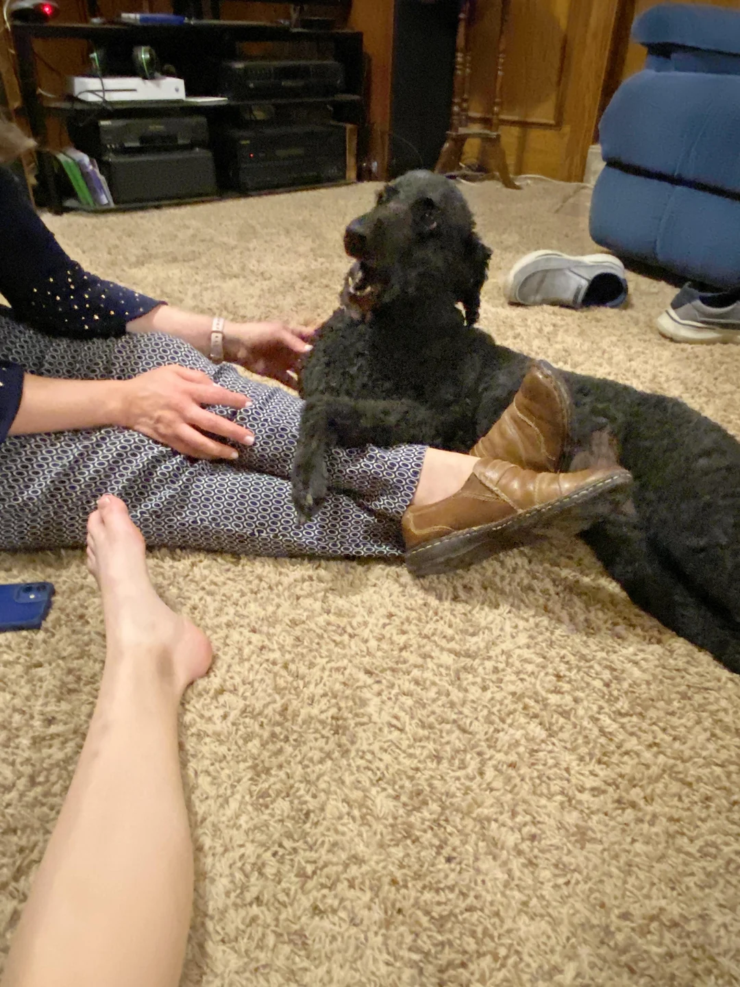 Dog is still loading… | Scrolller