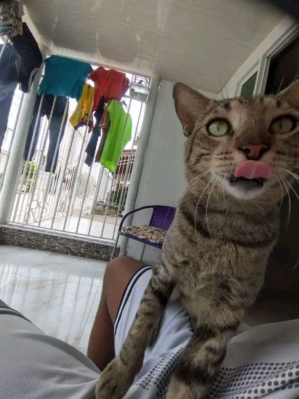 Blep human | Scrolller