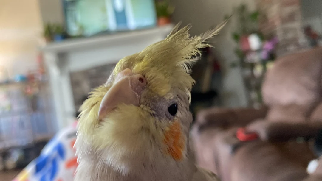 Derpy pics please 😍 | Scrolller