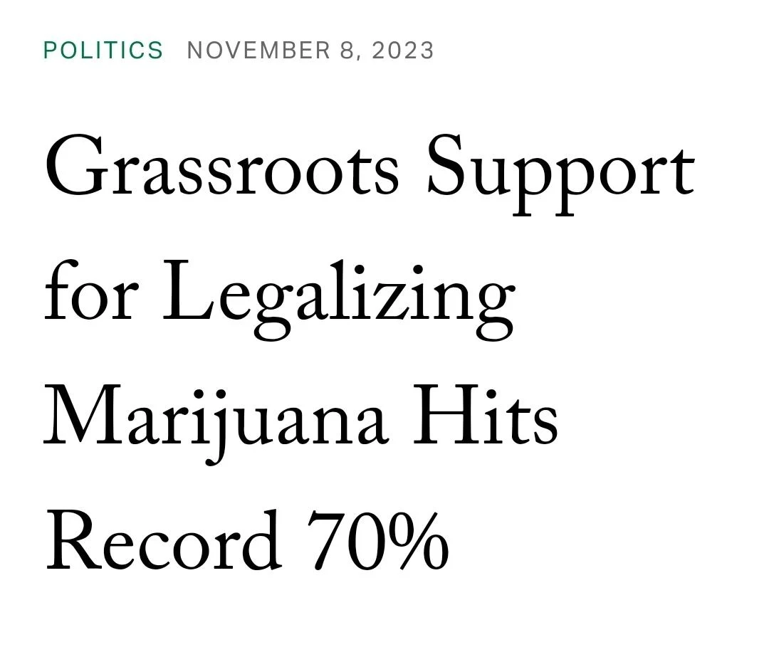 Grassroots Grass | Scrolller