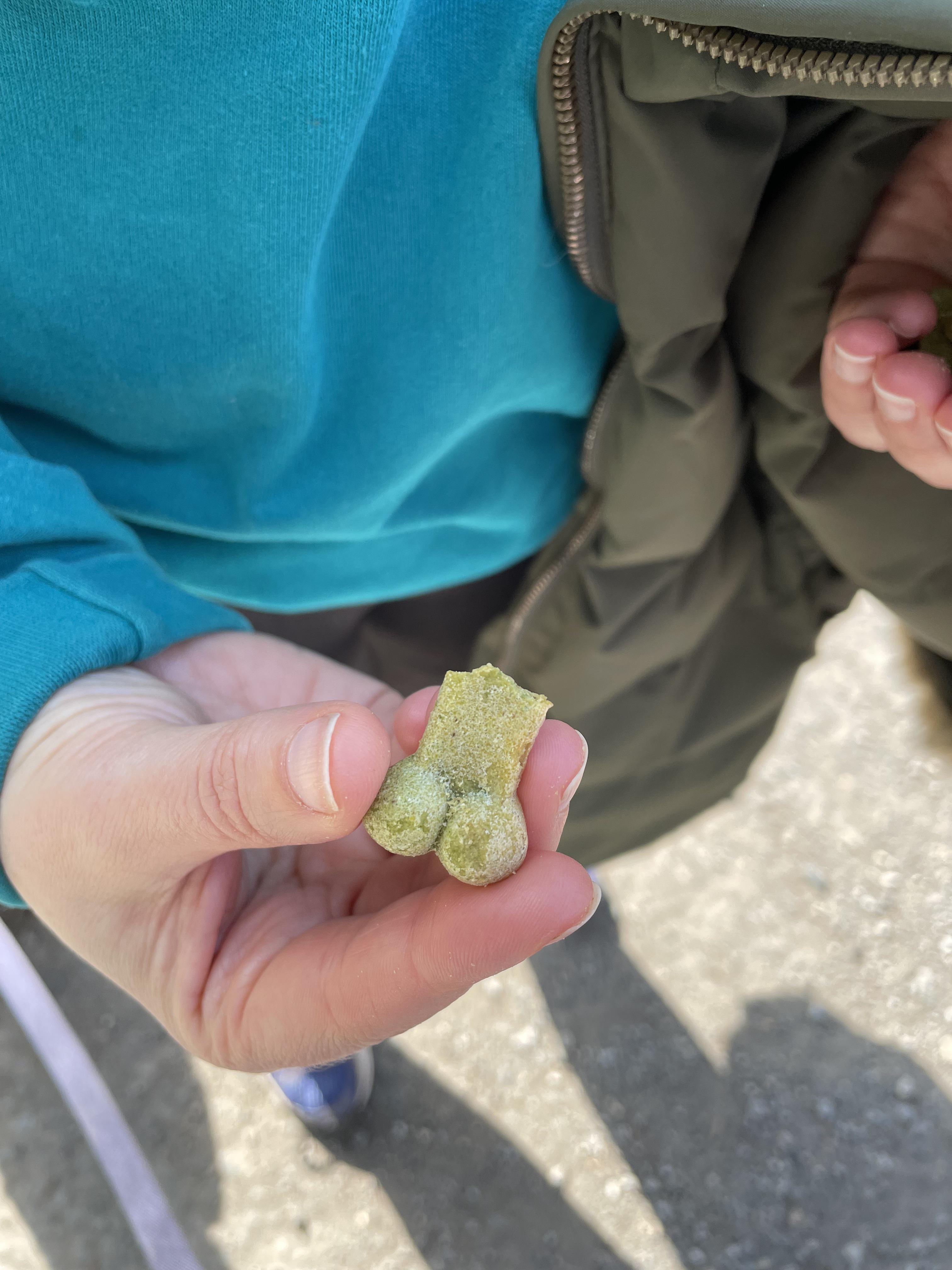 Dog biscuit | Scrolller