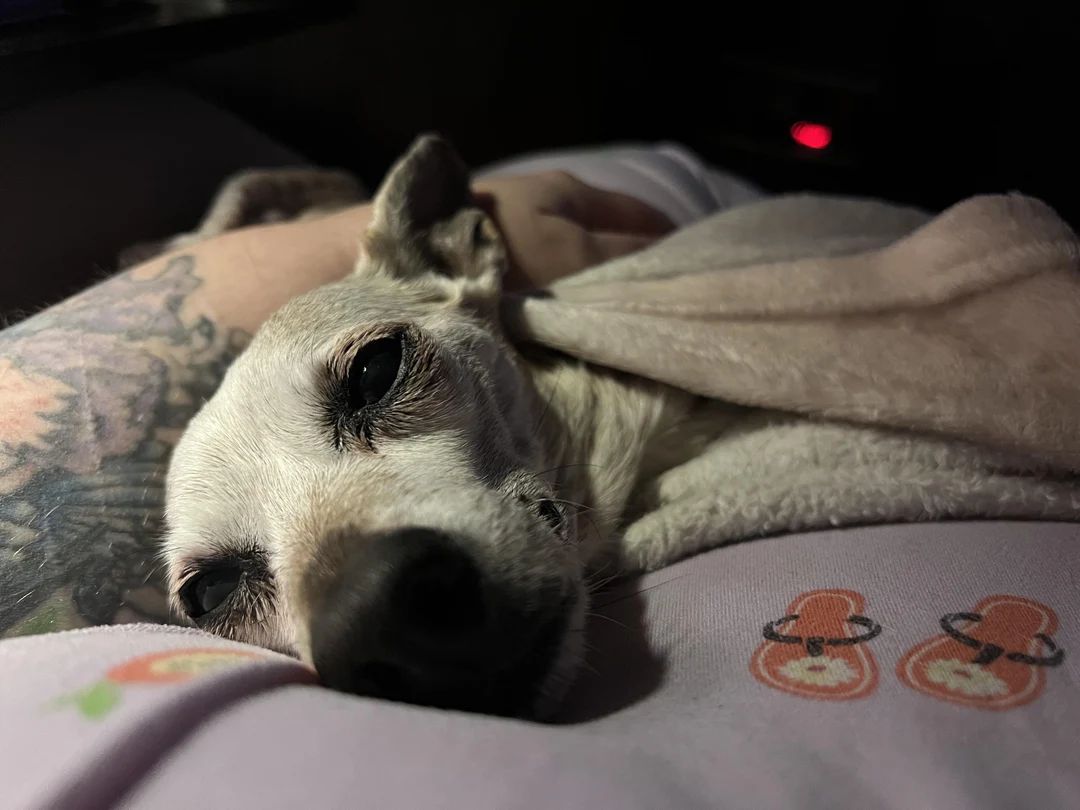 My best friend is dying | Scrolller