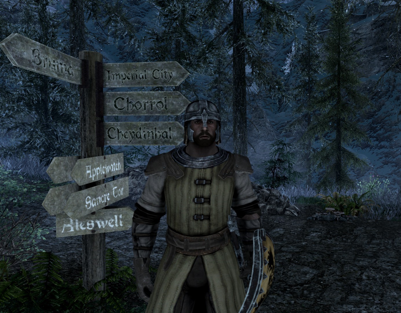 Got some Cyrodiil in my Skyrim. | Scrolller