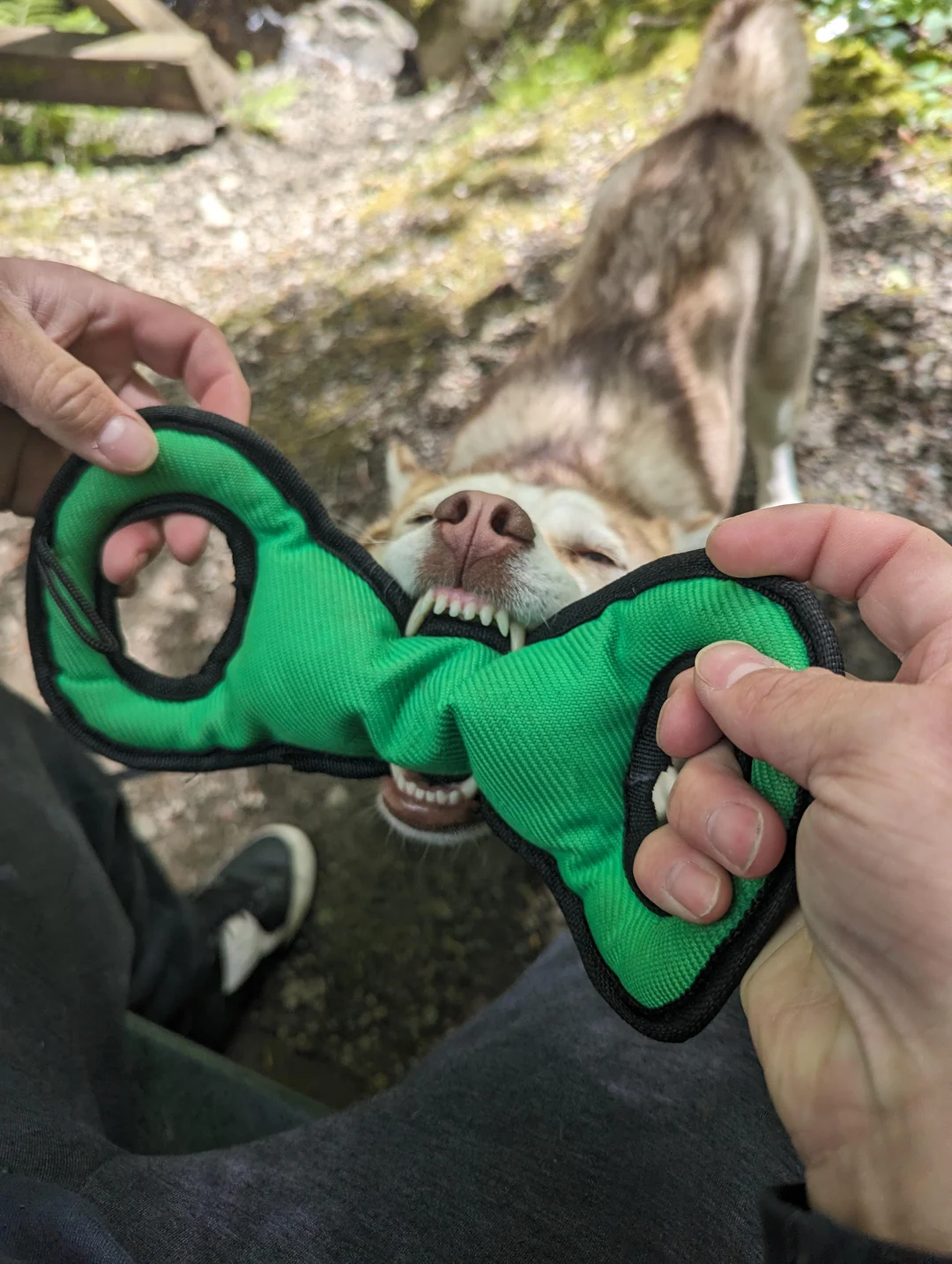 Just a goober and her toy | Scrolller