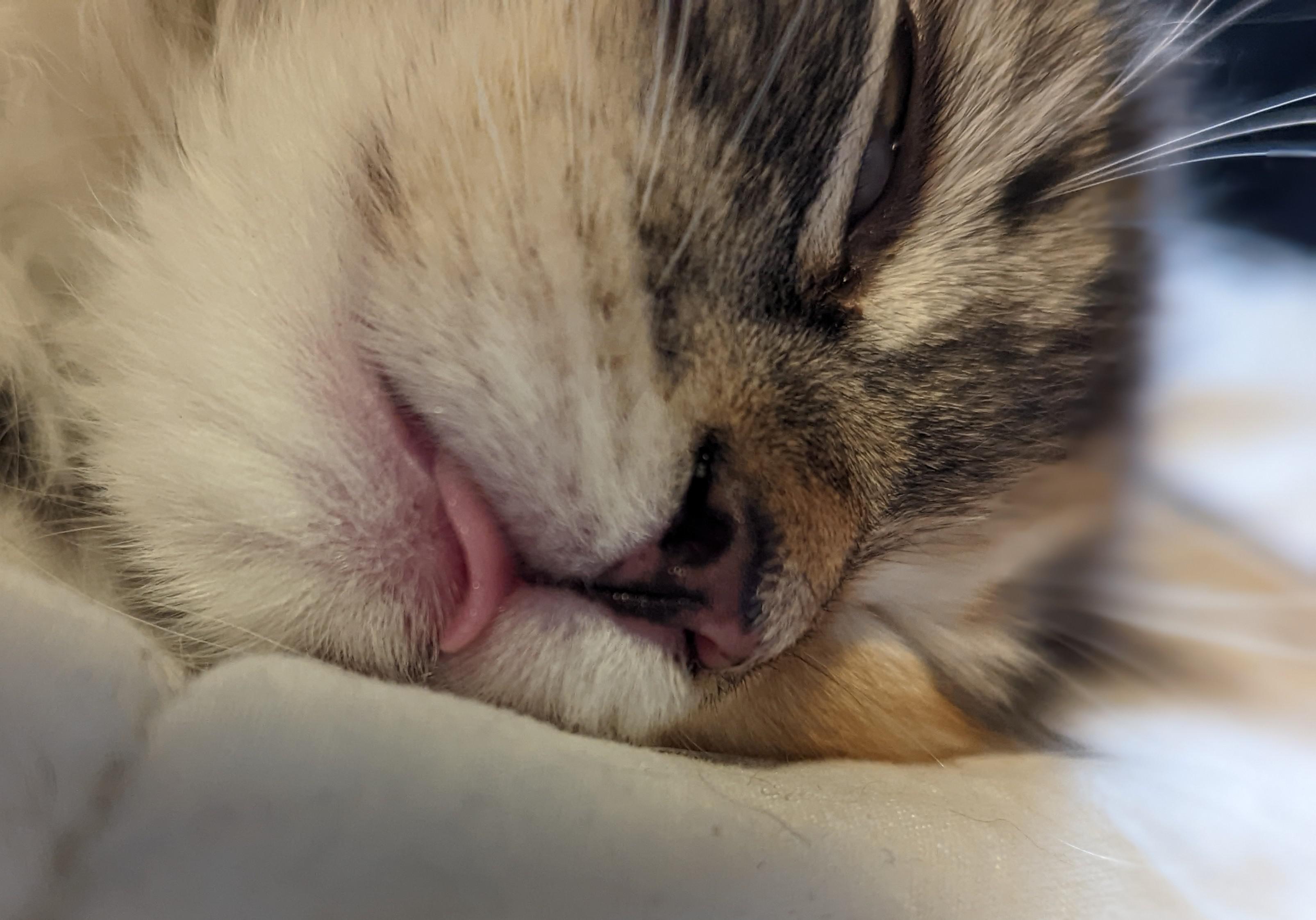 Nappy time | Scrolller