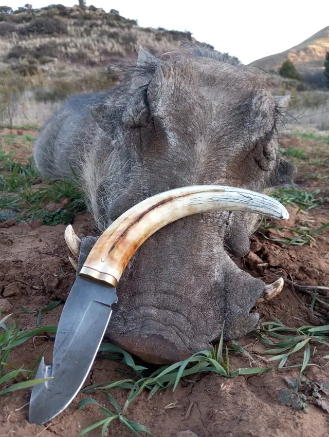 How do you rate this trophy knife? 🔪 | Scrolller