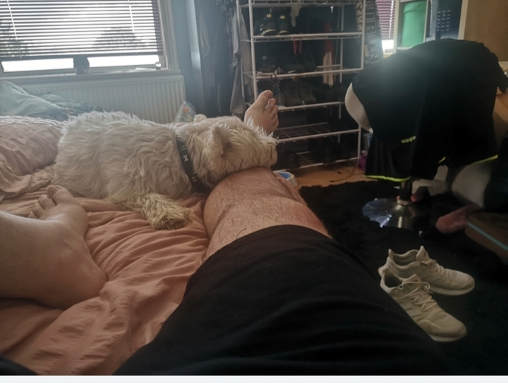 Angus creeping | Scrolller