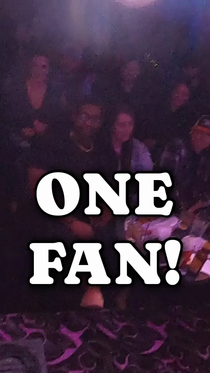 One Fan Showed Up (Stand-Up Comedy) | Scrolller