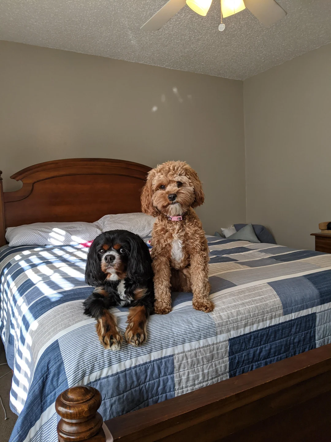 My work buddies | Scrolller