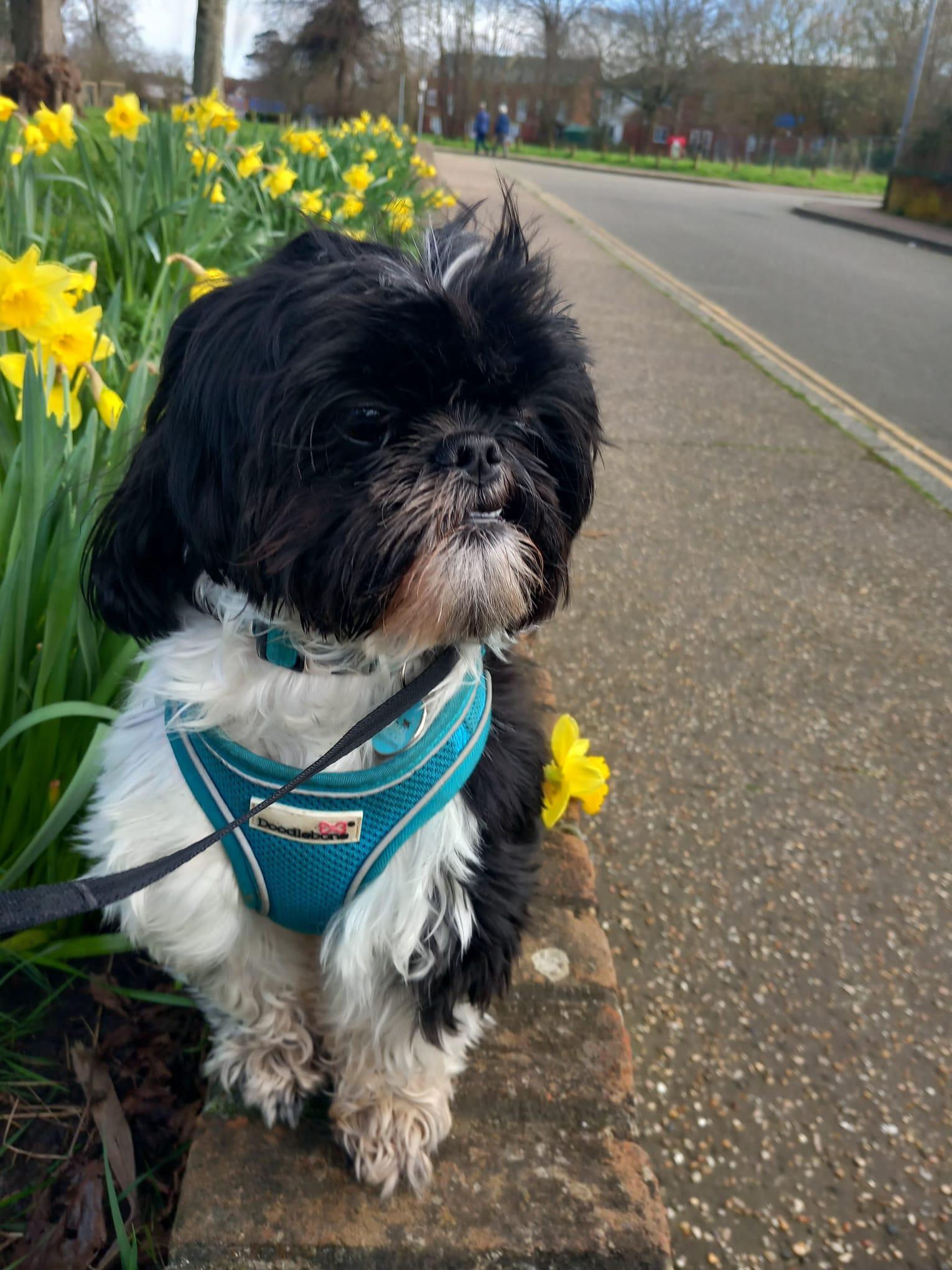 Spring is coming | Scrolller