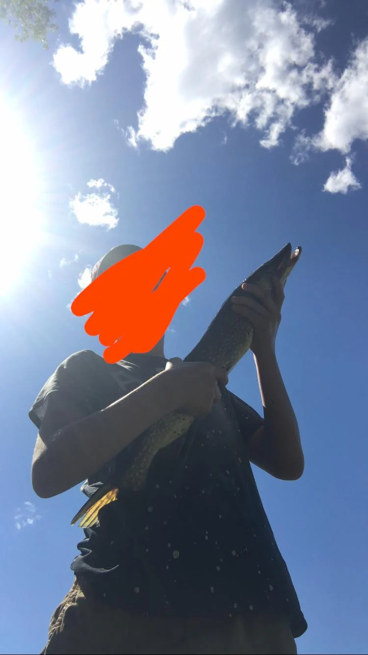 New pb pike (25 inches) | Scrolller