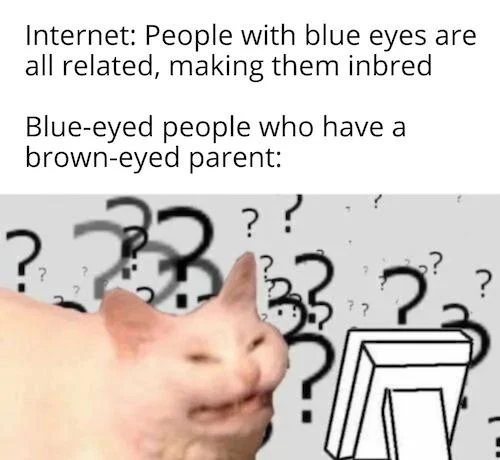 Blue eyes are a sign of inbreeding?? | Scrolller