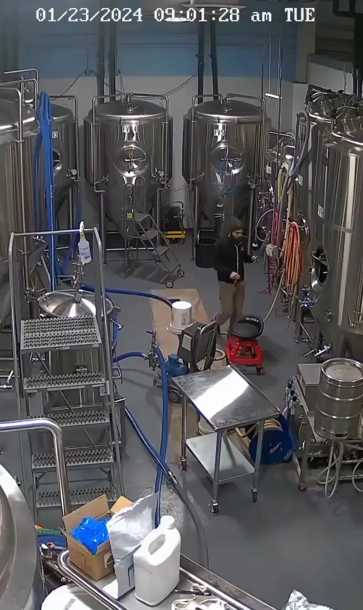 Another day at the brewery | Scrolller