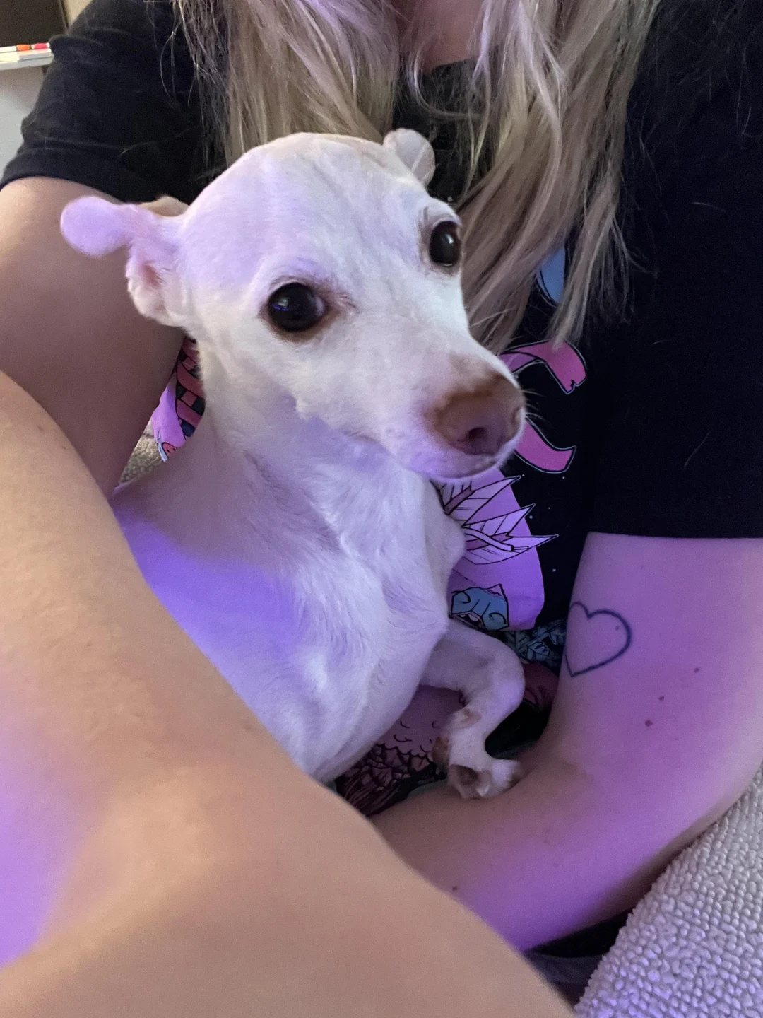 He regularly holds his paws like this 😂 | Scrolller