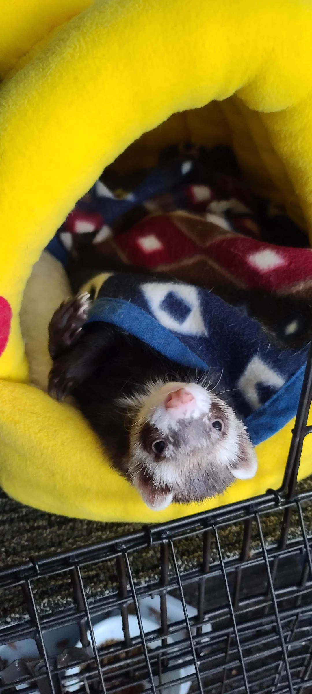 nope...not getting out of bed | Scrolller