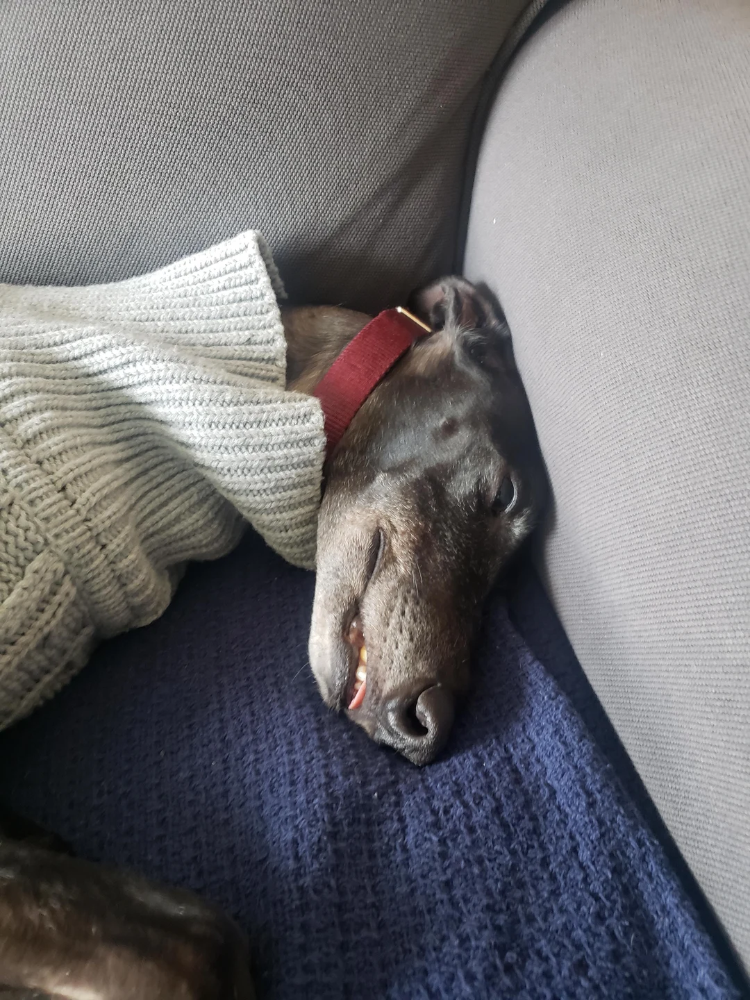 A tiny TOT | Scrolller