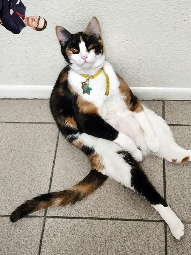 Sup bruh?- Jubilee | Scrolller